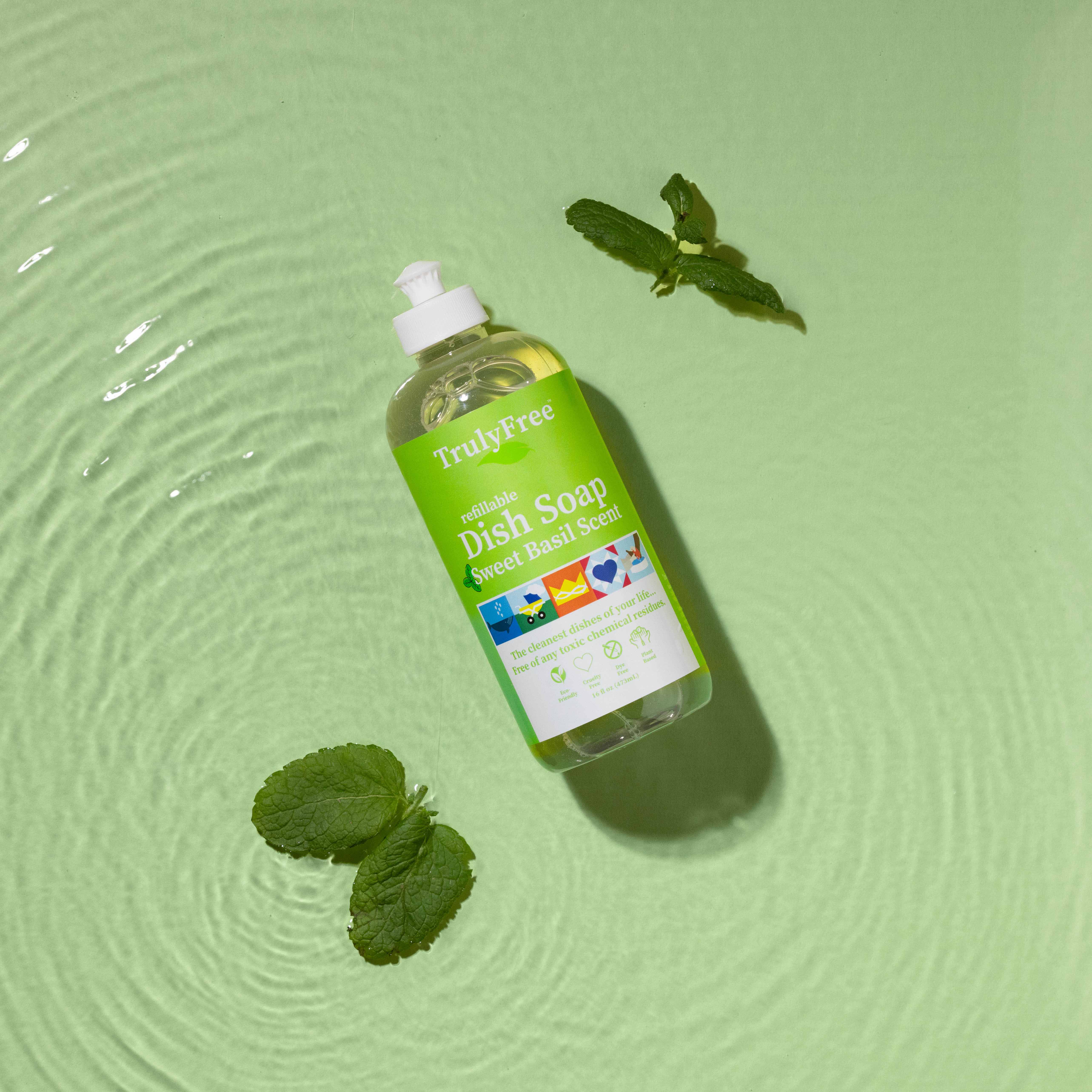 Non-Toxic, Natural Dish Soap without Chemicals | Truly Free Home