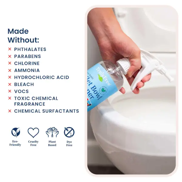 Non-Toxic Toilet Bowl Cleaner | Truly Free Home
